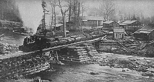 Logging the Virgin Forests of West Virginia – Page 2 – CASRI